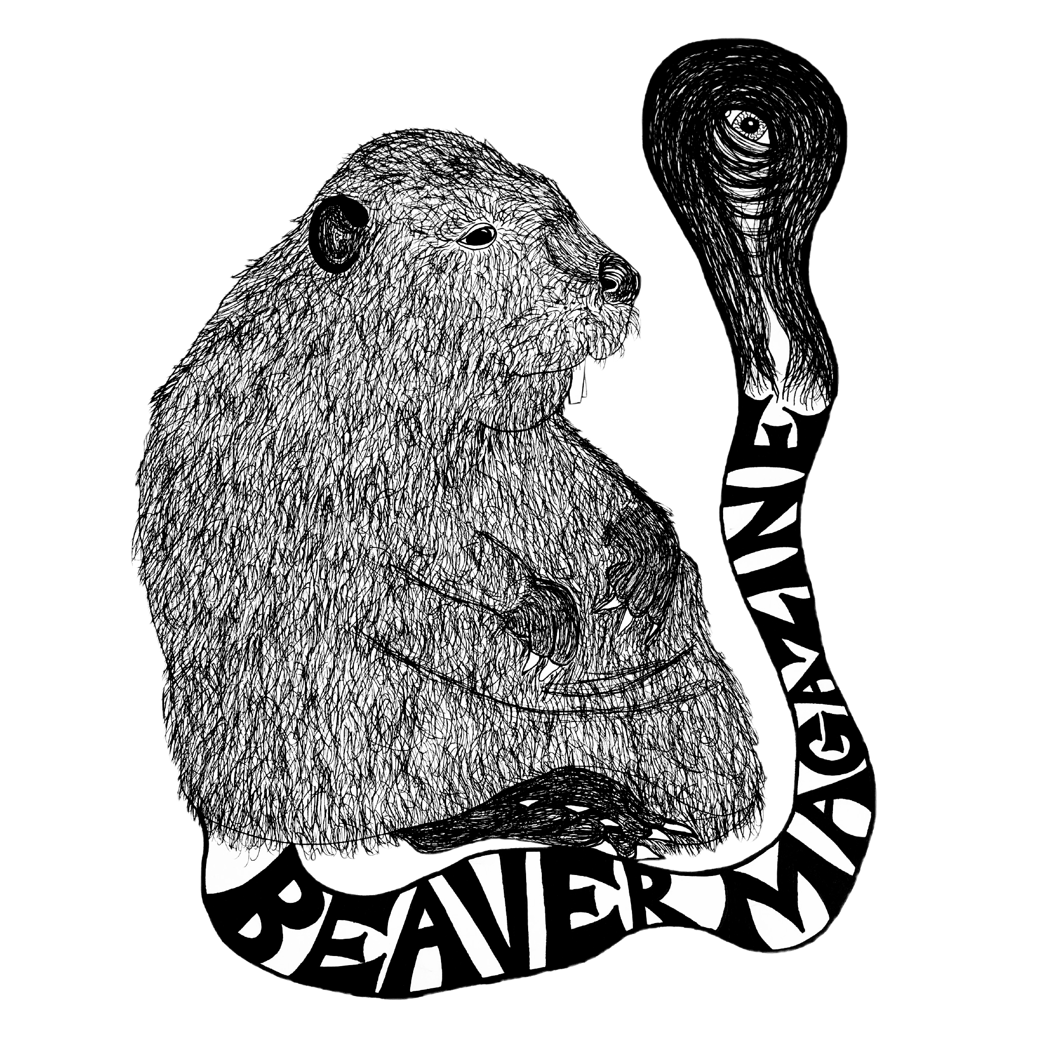 About Us – Beaver Magazine