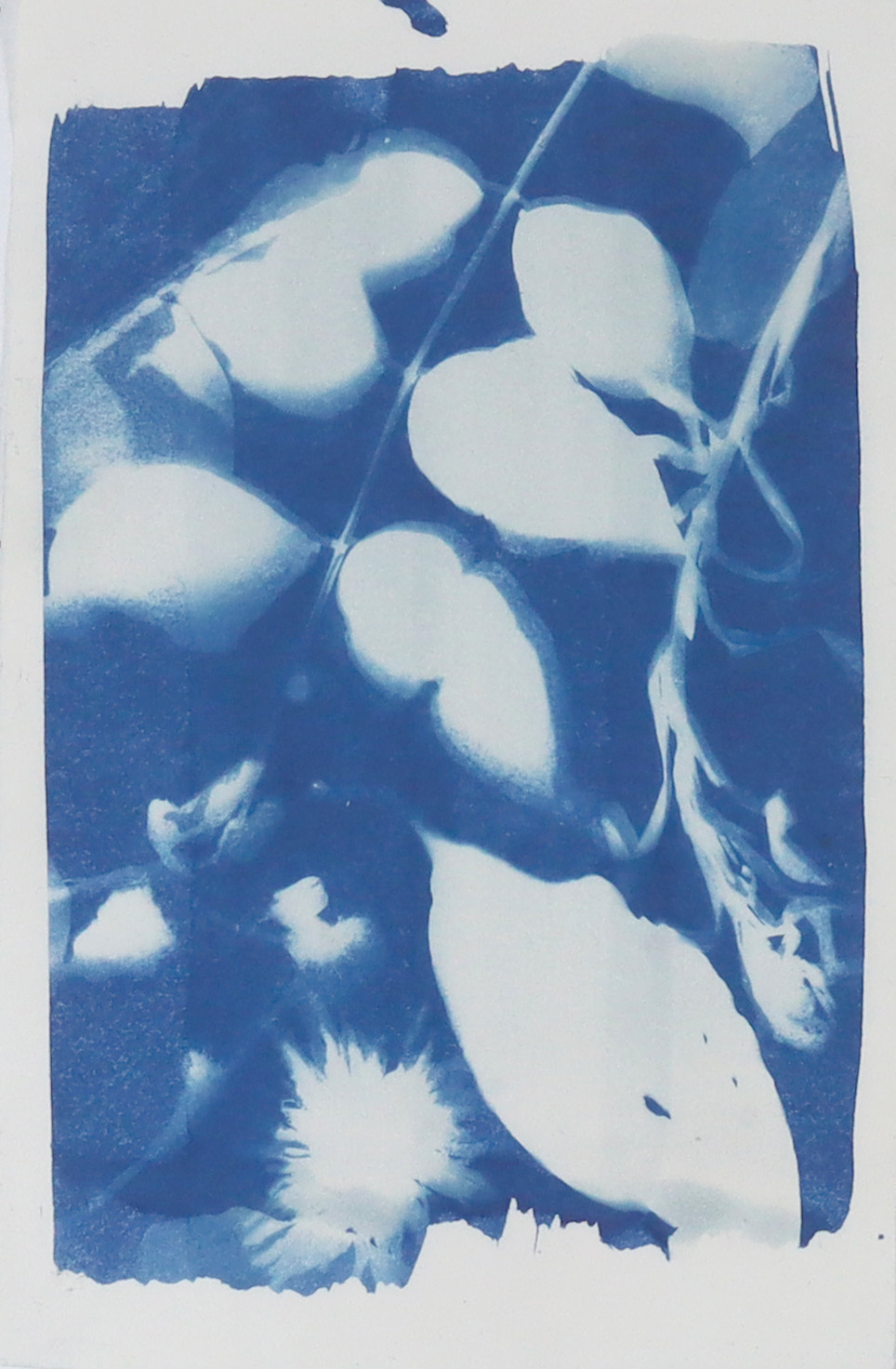 Alexis Choi – Beaver Magazine